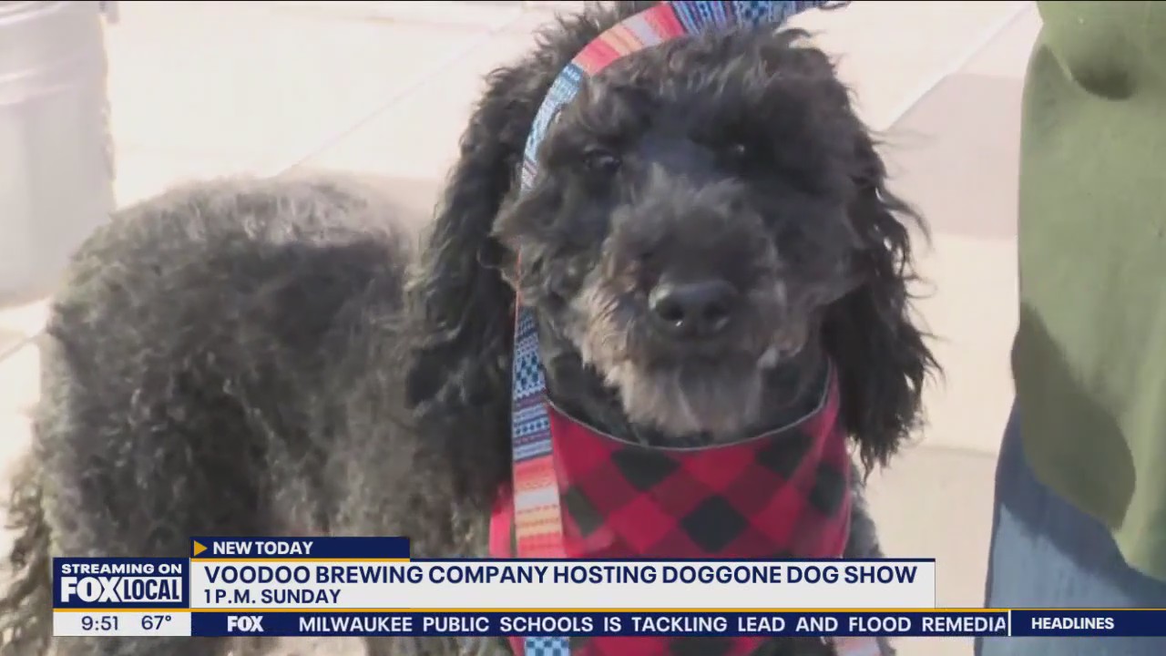 Voodoo Brewing Company in Delafield; good vibes, great beer and food ...