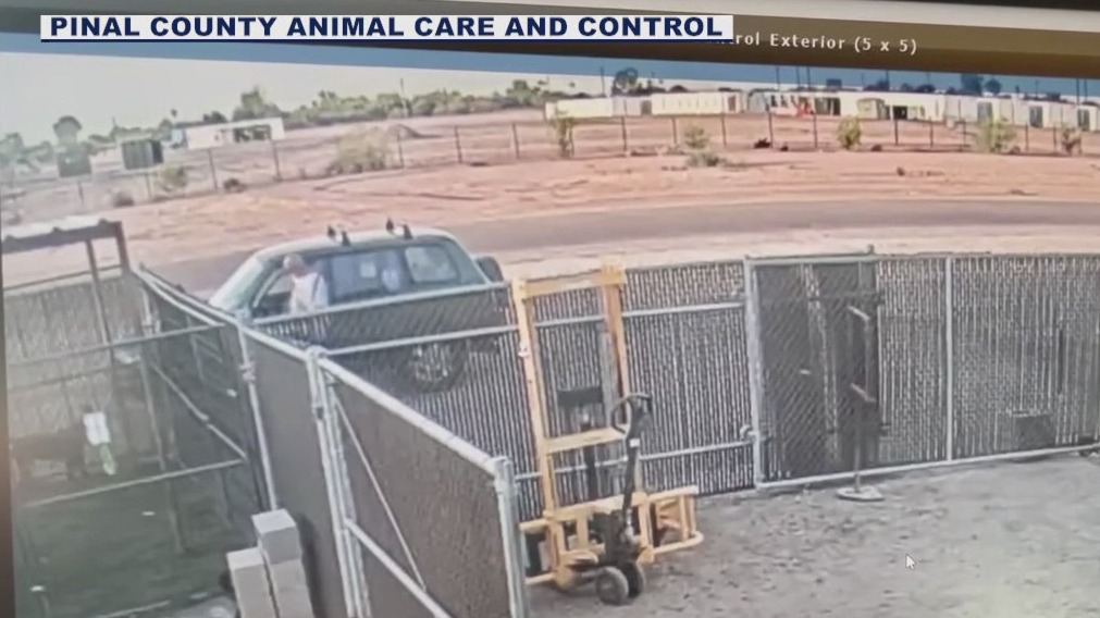 Man seen abandoning dog behind Pinal County animal shelter | FOX 10 Phoenix