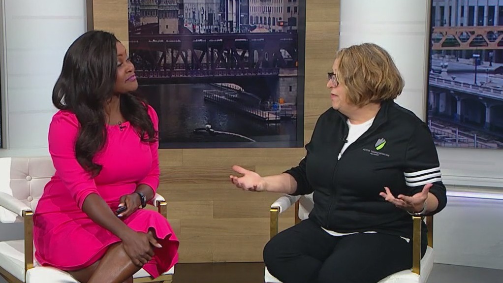 Bike the Drive 2025: Ride Lake Shore Drive car-free for a cause | FOX ...