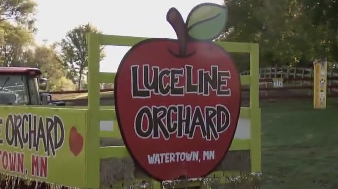Apple picking at LuceLine Orchard | FOX 9 Minneapolis-St. Paul