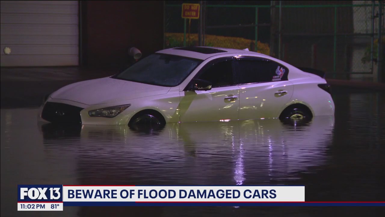 Warning about buying flood-damaged cars | FOX 13 Tampa Bay
