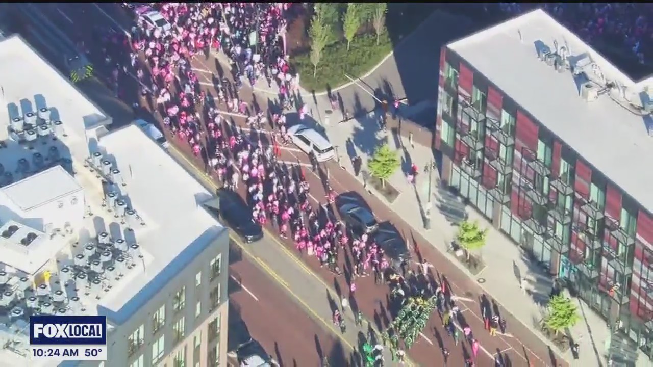 Making Strides Against Breast Cancer of Detroit is on October 11 | FOX ...