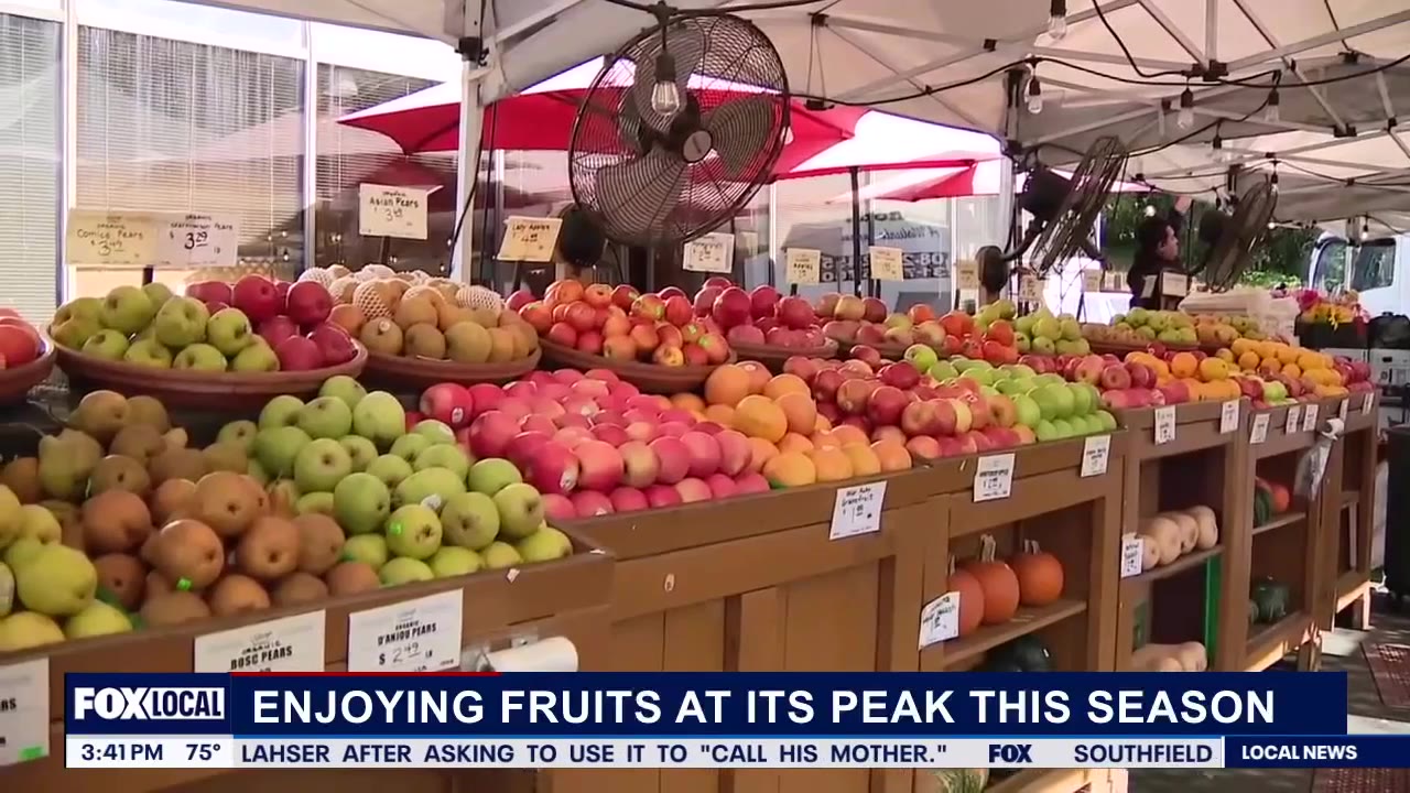What’s in season: Fresh fall fruits to enjoy now | FOX 2 Detroit