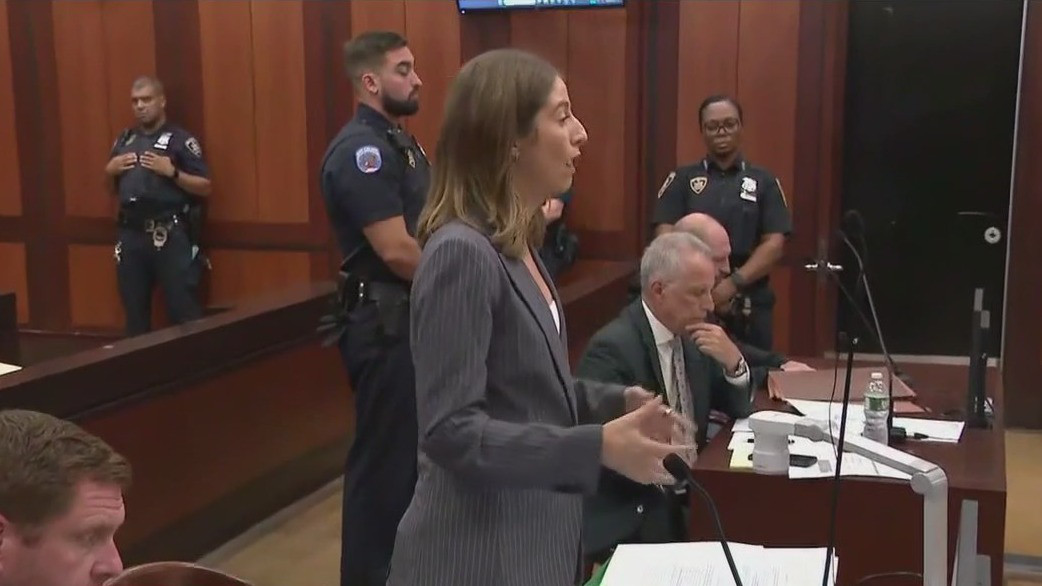 Texas man charged with terroristic threats against Assemblyman Zoran Mamdani | FOX 5 New York