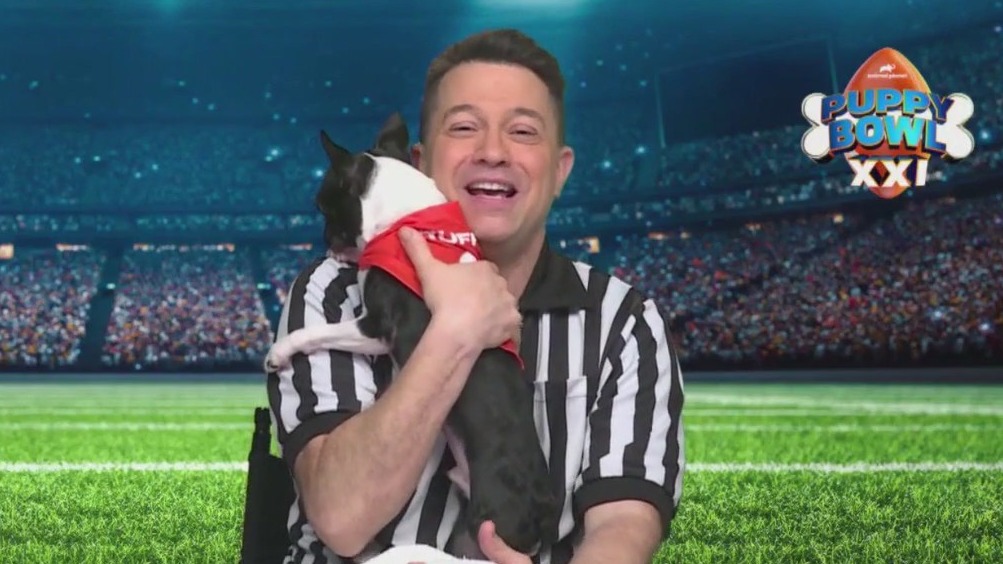 Puppy Bowl XXI highlights shelter dogs | FOX 5 Atlanta