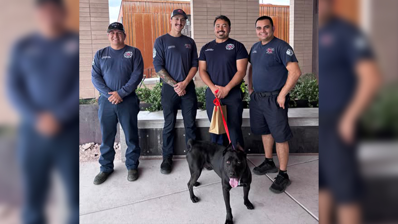 Eloy Fire Department gives forever home to dog | FOX 10 Phoenix
