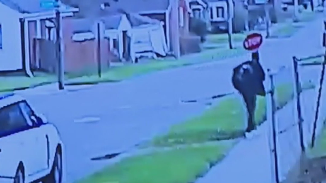 Detroit doctor murder: Desmond Burks to stand trial for killing Devon ...