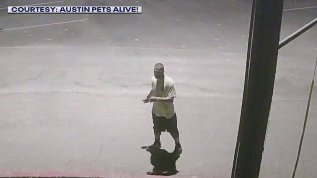 Break-in at Austin Pets Alive!: 1 dog dies, other dogs injured after ...