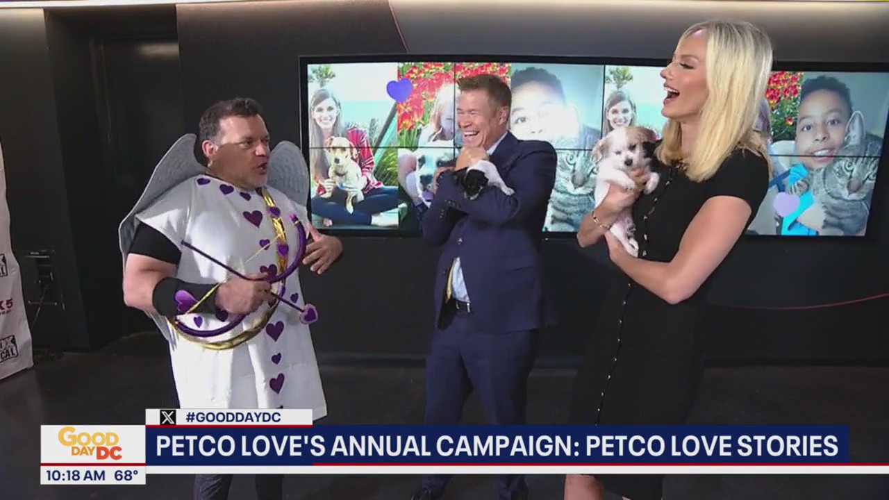 Petco Love's annual campaign: Petco Love Stories | FOX 5 DC