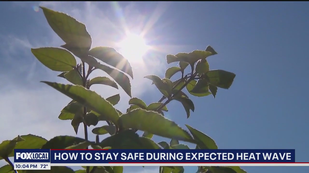 Staying safe during upcoming heat wave across Metro Detroit | FOX 2 Detroit
