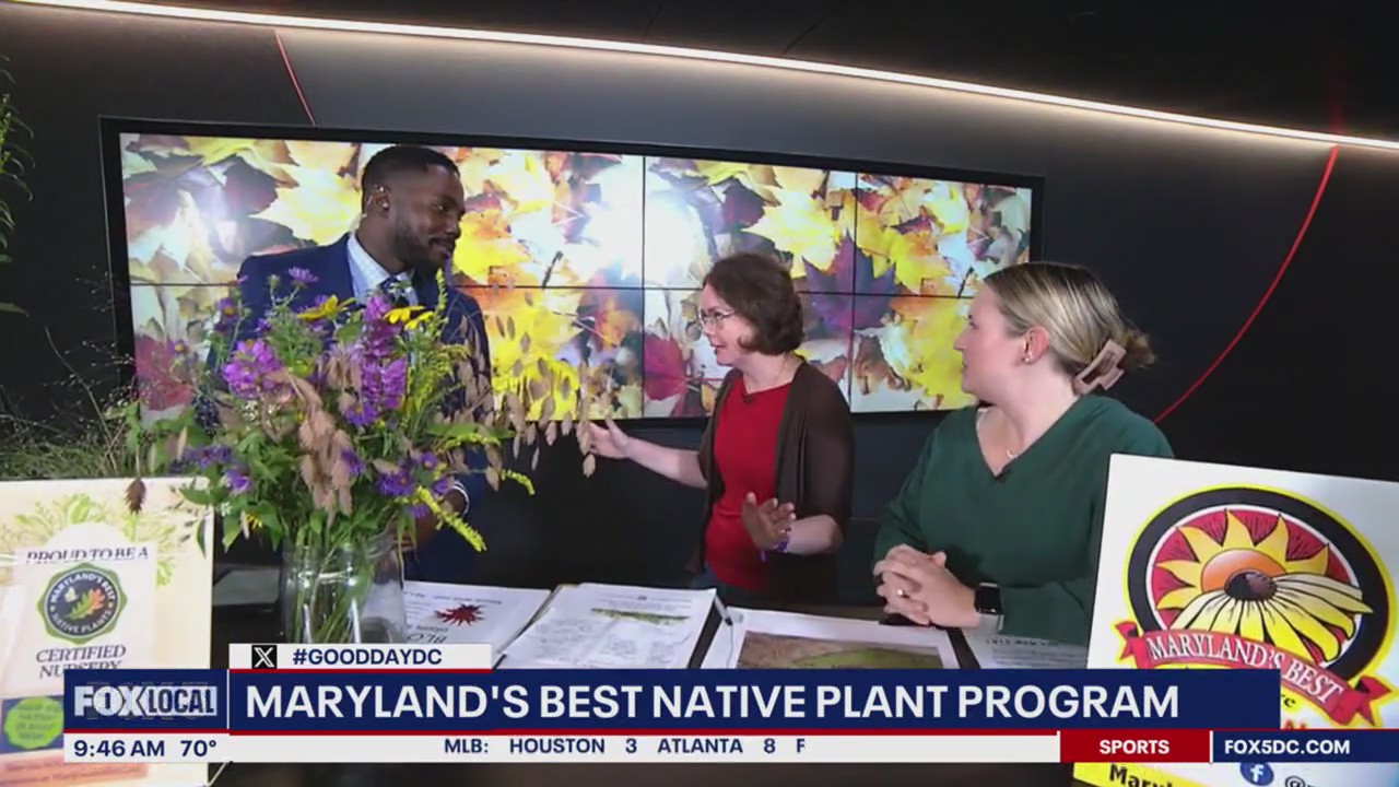 Maryland's best native plants | FOX 5 DC