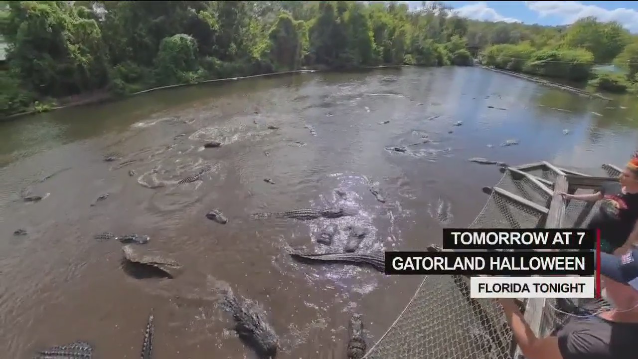 Florida Tonight: October 22 | FOX 51 Gainesville