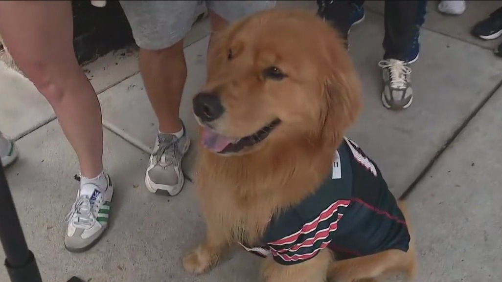 The Wieners Circle dishes out free hot dogs after Caleb Williams' big ...