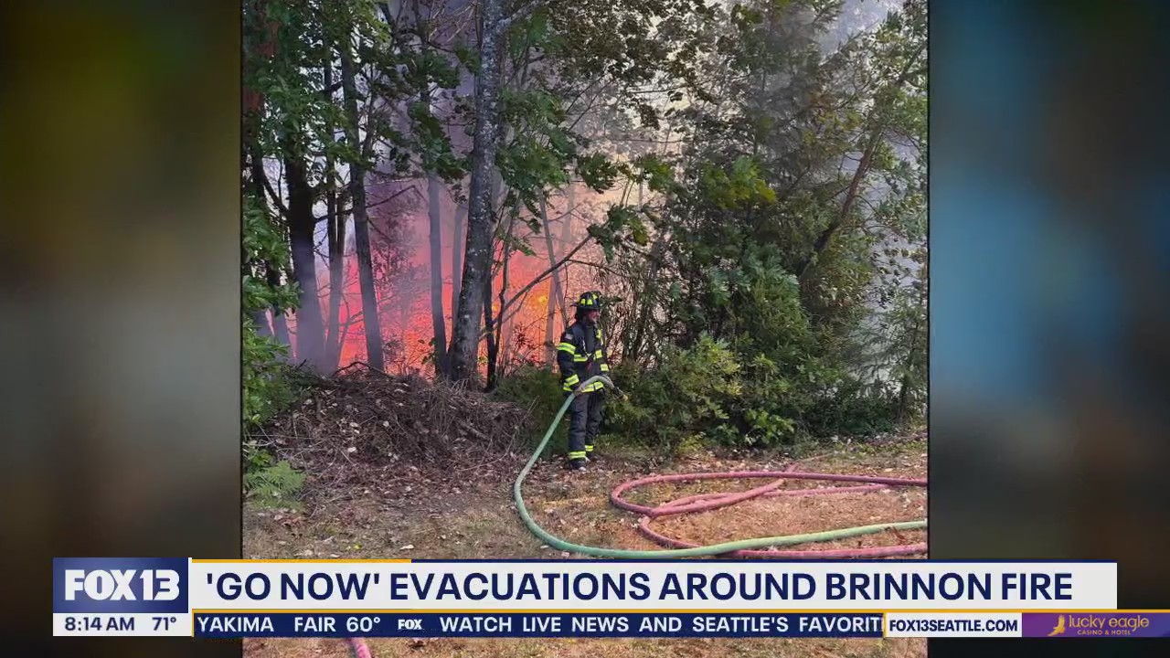 WA Wildfire update: Brinnon, Bear Gulch and Greenacres continue to burn ...