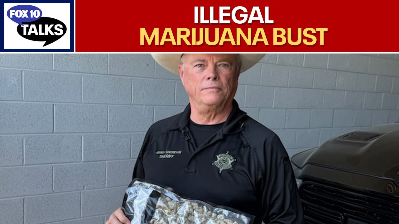 Big marijuana grow bust in Phoenix | FOX 10 Talks | FOX 10 Phoenix