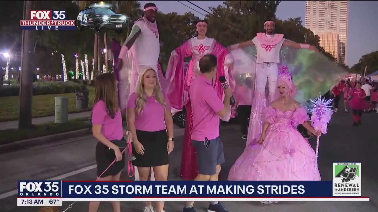Making Strides Against Breast Cancer | FOX 51 Gainesville