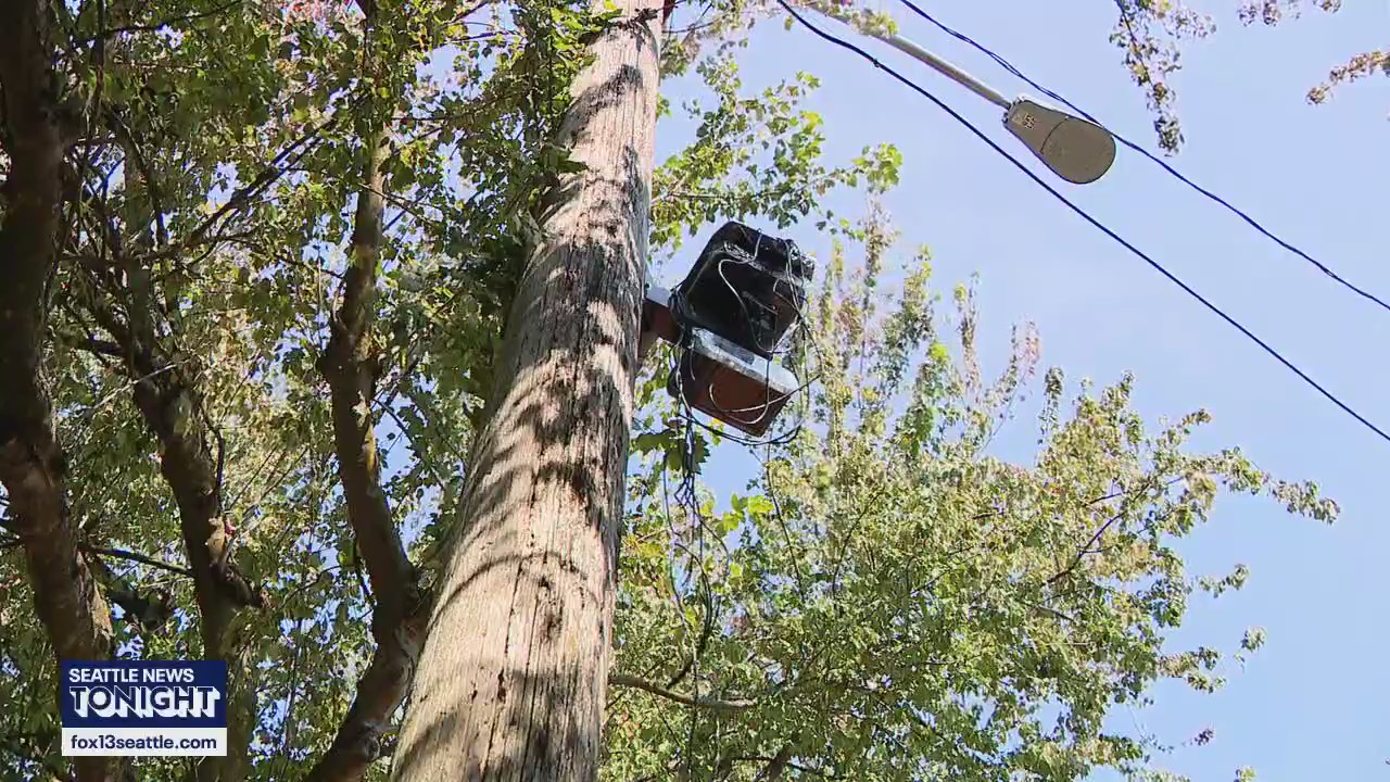 New school speed zone cameras going up in Seattle | FOX 13 Seattle