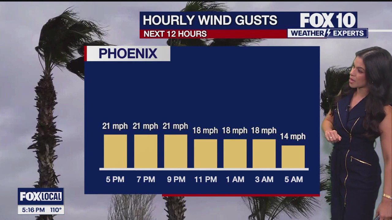 Evening Weather Forecast - 8/9/25 | FOX 10 Phoenix